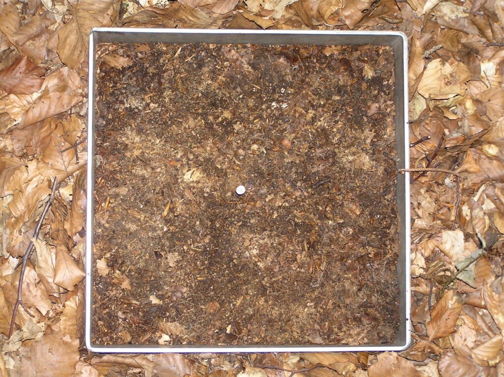 Of-horizons - Humus FormHumus Form